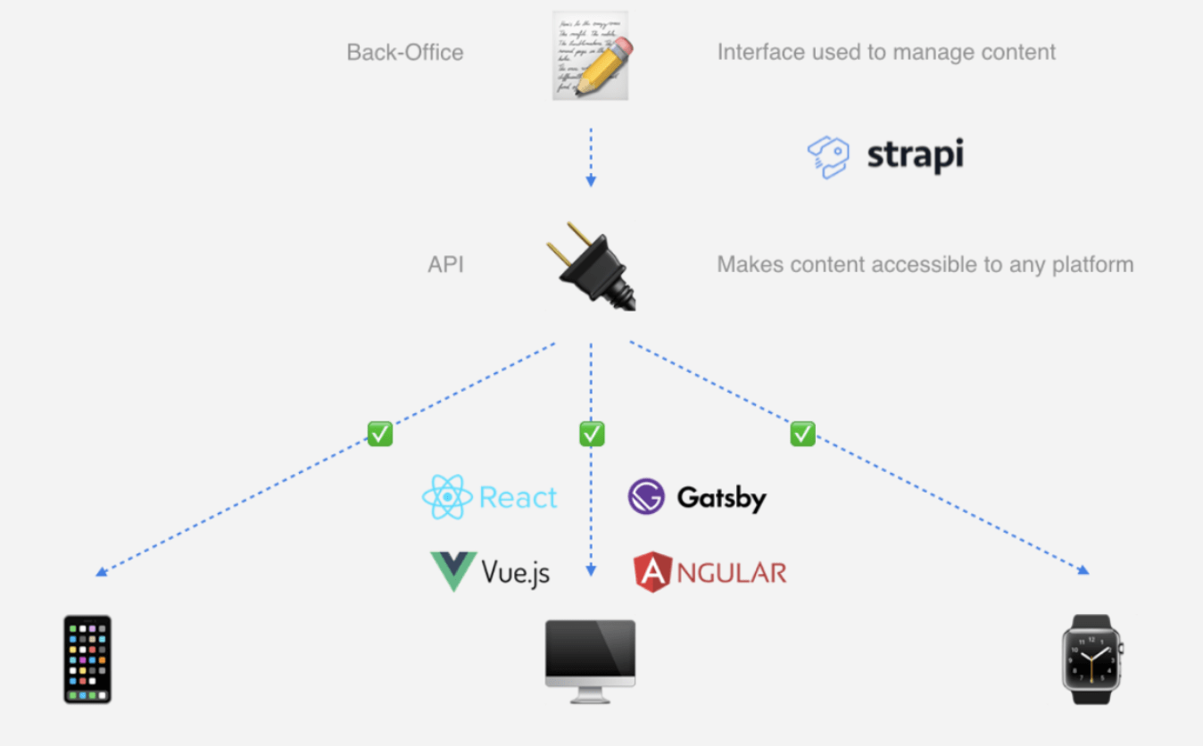 Wanna Use The Strapi Headless CMS Read This First TSH io